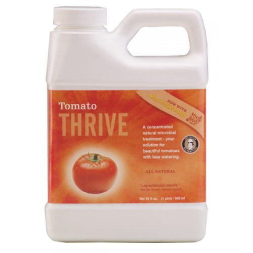 Square Foot Gardening Is For Everybody, Including YOU! | South ...