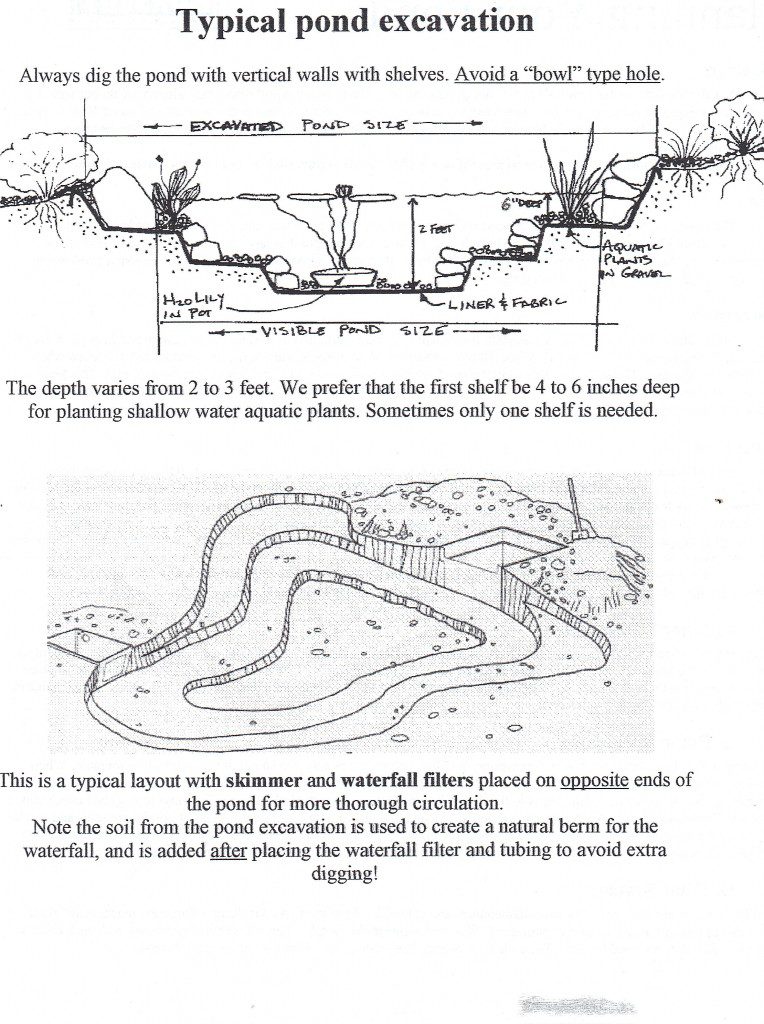 Wanting To Build A Pond? | South Pleasantburg Nursery
