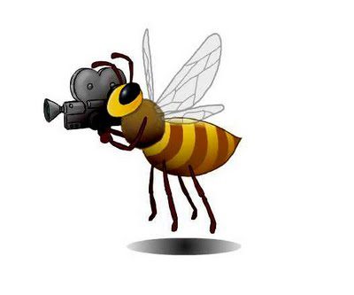 Cosmic July Blooming Shrub Video Tour | South Pleasantburg Nursery